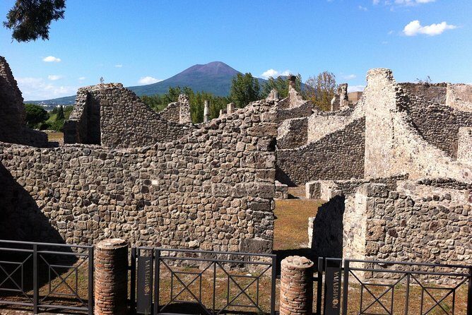 Pompeii Private Half-Day Tour from: Naples,Sorrento, Amalfi Coast - The Experience from Reviews