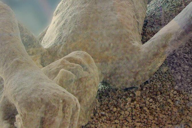 Pompeii Private Tour from Sorrento Entrance fees included - Who Should Consider This Tour?