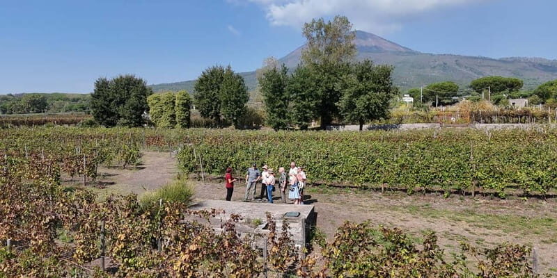Pompeii: Private Tour with Wine Tasting and Lunch - FAQ