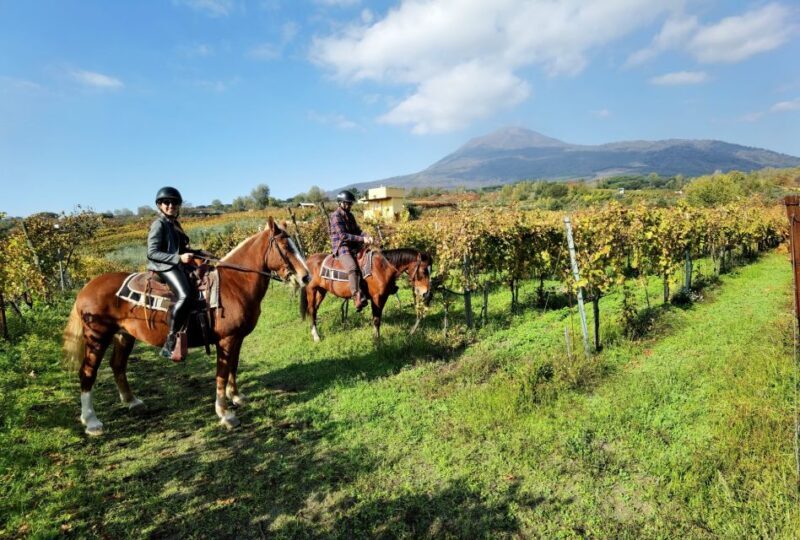 Pompeii: Ruins Tour and Mount Vesuvius Horseback Ride - Lunch and Wine Tasting Amidst Vesuviuss Vines