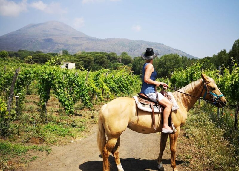 Pompeii: Ruins Tour and Mount Vesuvius Horseback Ride - The Logistics and Flow of the Day