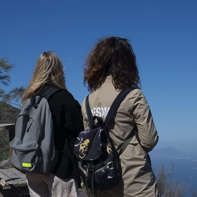 Pompeii Ruins & Vesuvius Full-Day Tour from Pompeii - Authenticity and Value