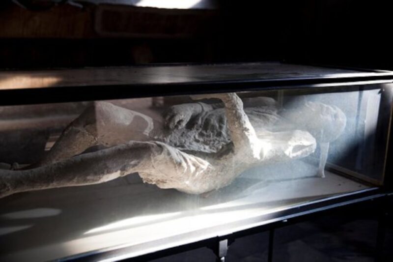 Pompeii: Skip-the-Line Guided Tour with Expert Archaeologist - Authentic Feedback: What Real Travelers Say