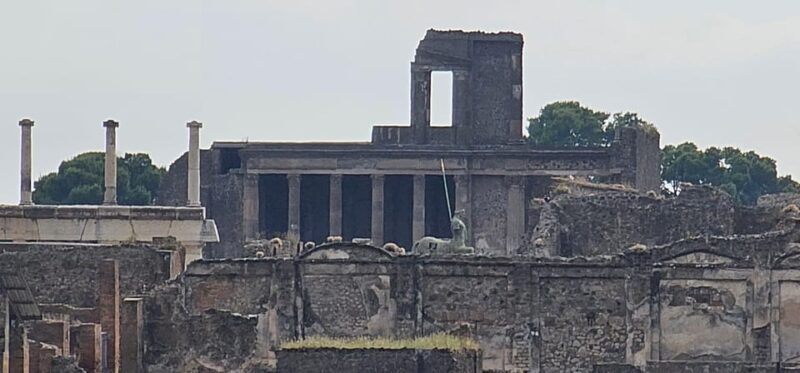 Pompeii, skip-the-line ticket with smartphone audio guide on App - The Downside: ID Requirement and Cost