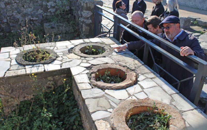 Pompeii: Skip-the-Line Tickets and Tour with Archaeologist - FAQ