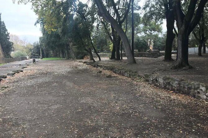 Pompeii - Small Group Tour (skip-the-line admission included) - What to Expect from the Tour