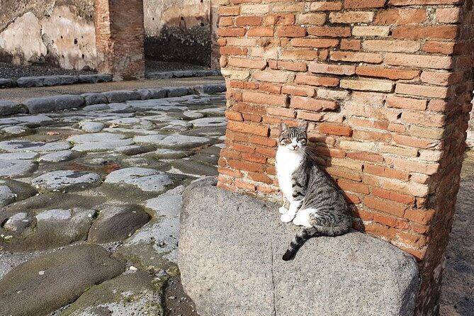 Pompeii the Ancient City (Tour+Transfer) - FAQ