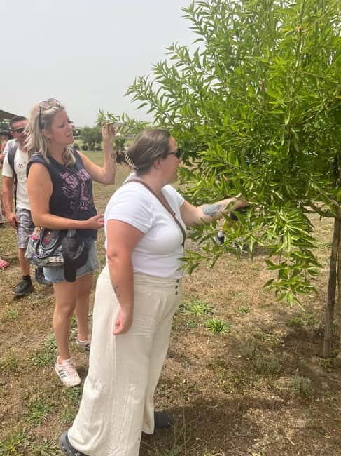 Pompeii: Tour of the Archaeological Excavations and Fresh Pasta Cooking Class - Whats Included and Whats Not