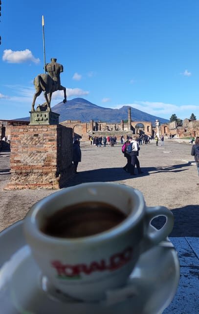 Pompeii Tour with Archaeological Expert and Lunch - Who Is This Tour Best For?