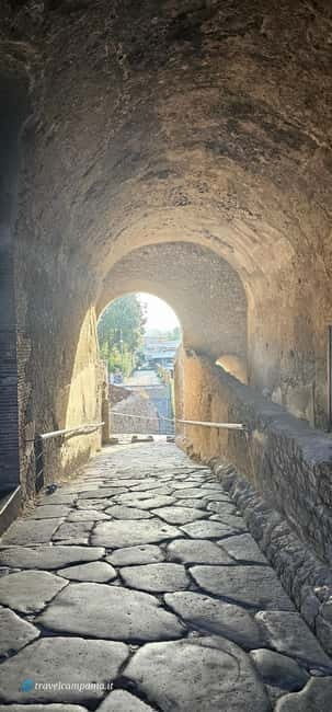 Pompeii: Tour with Archaeologist Guide & Skip-the-Line Entry - Final Thoughts: Who Will Love This Tour?