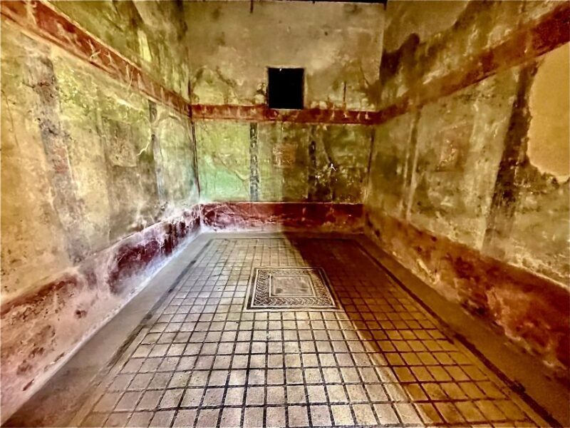 Pompeii - Vesuvius & Wine from Amalfi Coast all inclusive - A Deep Dive into the Tour Experience