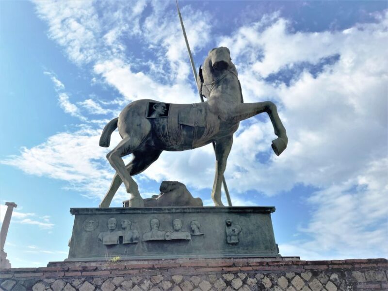 Pompeii - Vesuvius & Wine from Amalfi Coast all inclusive - Practical Considerations