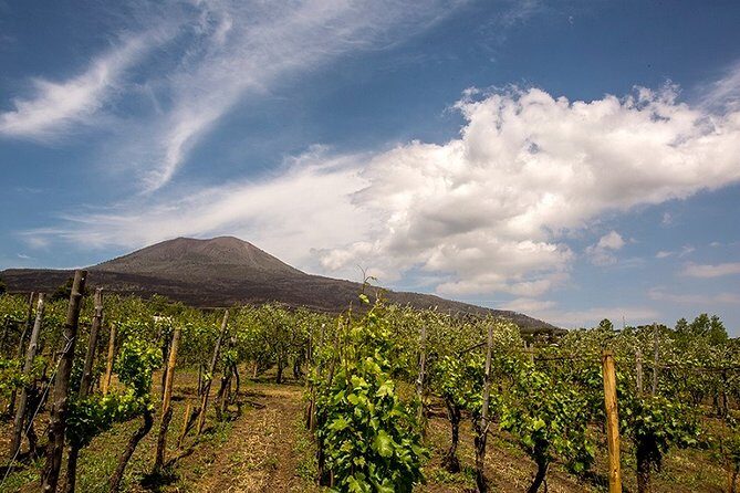 Pompeii Visit with Food and Wine tasting near Mt. Vesuvius - FAQ