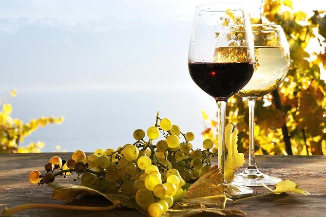 Pompeii & Wine Tour from Sorrento (tickets & lunch not included) - Stop 1: Pompeii Archaeological Park