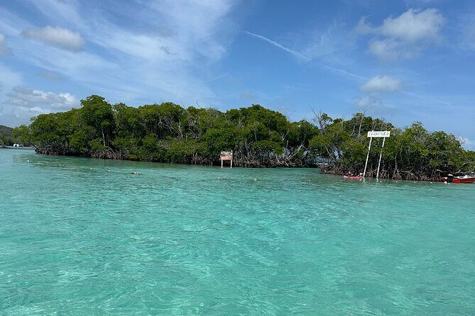 Ponce, Yauco, La Parguera & BioBay Full Day Experience - Key Points