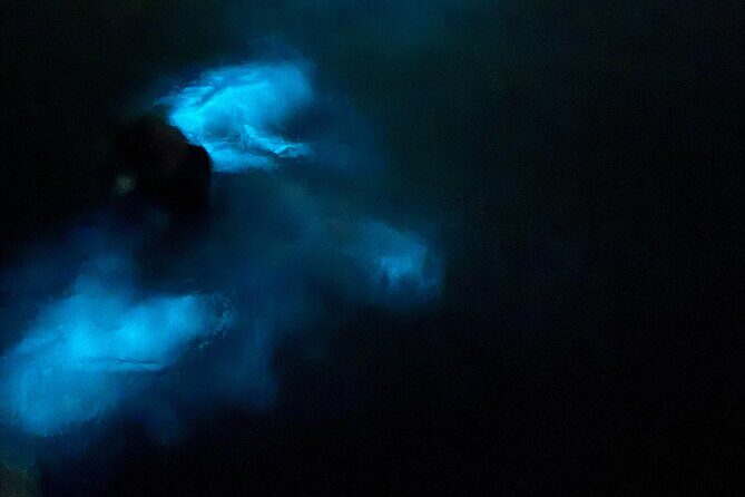 Ponce, Yauco, La Parguera & BioBay Full Day Experience - An In-Depth Look at the Experience