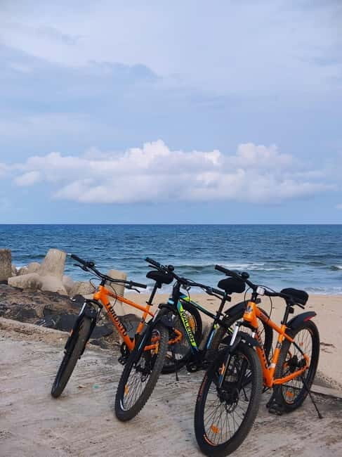 Pondicherry Beaches and History Guided Tour - The Sum Up