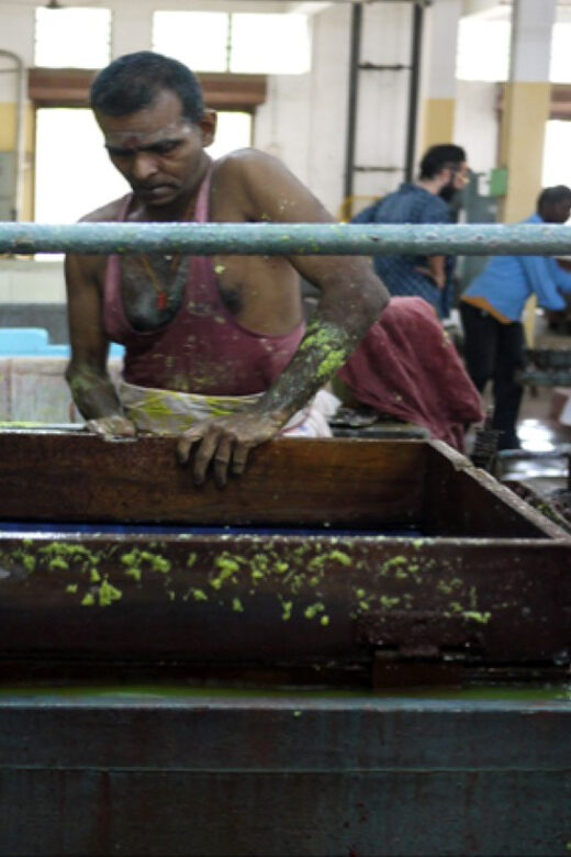 Pondicherry: Full day private tour from Chennai - FAQ