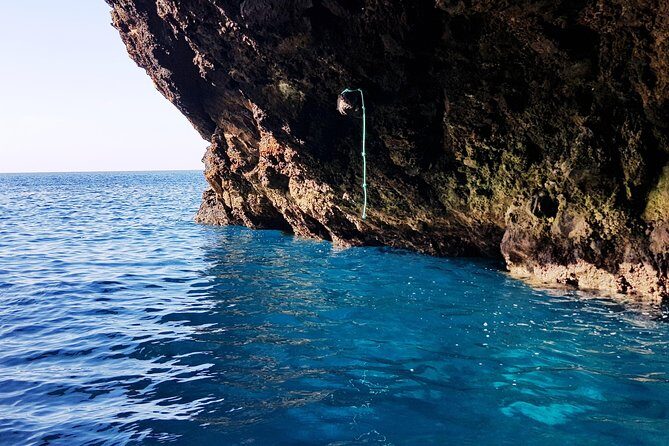 Ponta de São Lourenço Boat Tour - What to Expect from the Itinerary