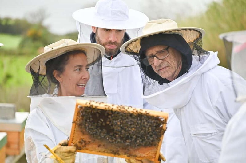 Ponta Delgada: Apiary Guided Tour - Key Points