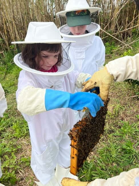 Ponta Delgada: Apiary Guided Tour - The Sum Up