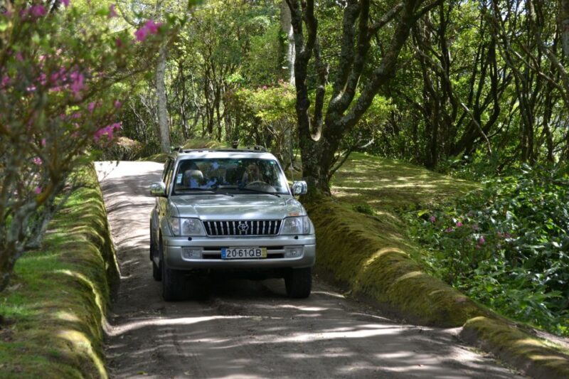 Ponta Delgada: Half-Day 4x4 Sete Cidades Trip - What Makes This Tour Stand Out?