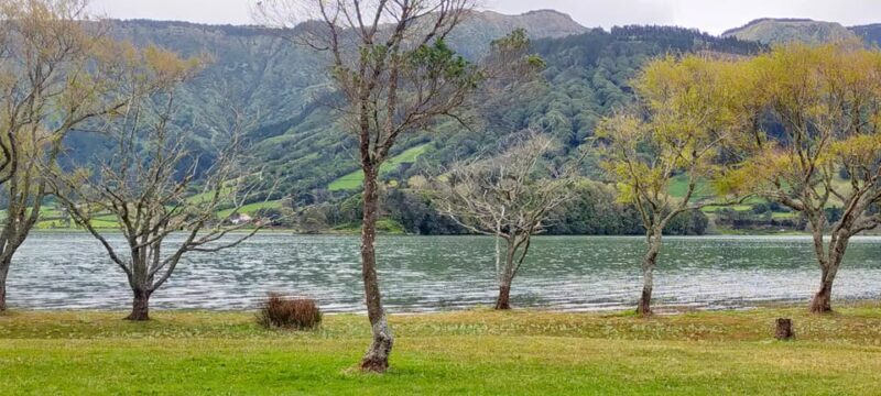 Ponta Delgada: Private Tour Sete Cidades Green e Blue Lakes - Who This Tour Is Perfect For