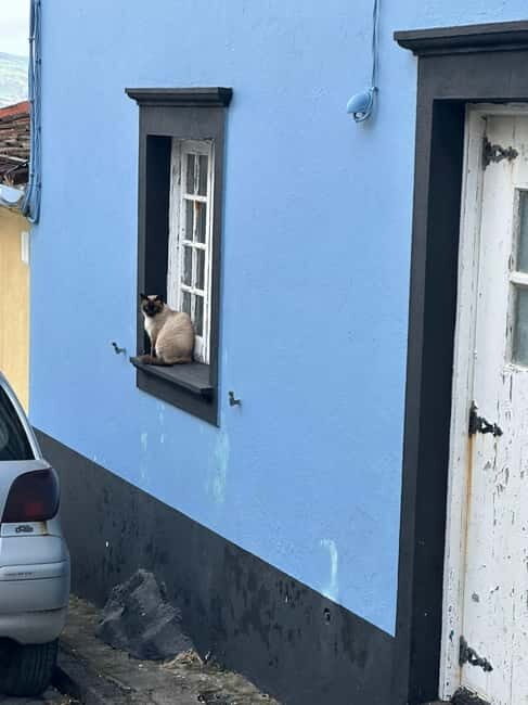Ponta Delgada: Sete Cidades and Fenais da Luz Guided Trip - Authenticity and Experience