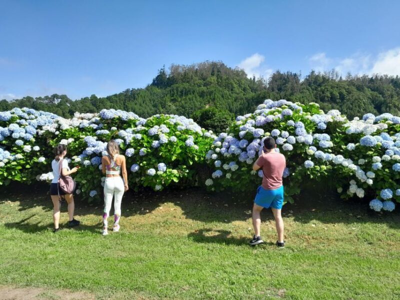 Ponta Delgada: Shore Excursion - The Blue & Green Lake - Final Thoughts