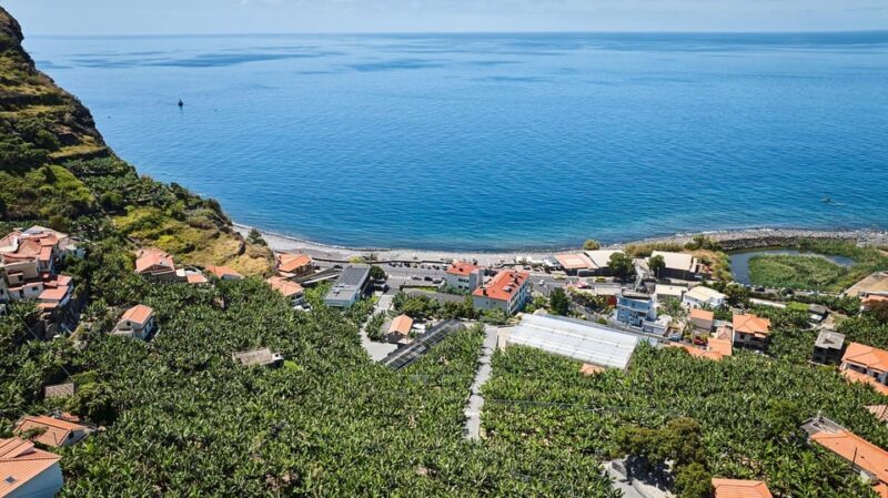 Ponta Do Sol : Madeira Banana Museum guided tour - An Overview of the Tour Experience