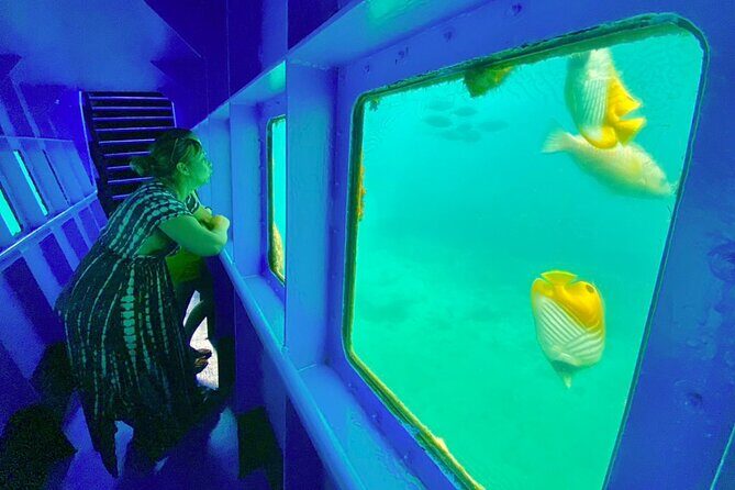 Ponton Day Trip SWIM with Turtles All meals included & Transport - Exploring the Itinerary
