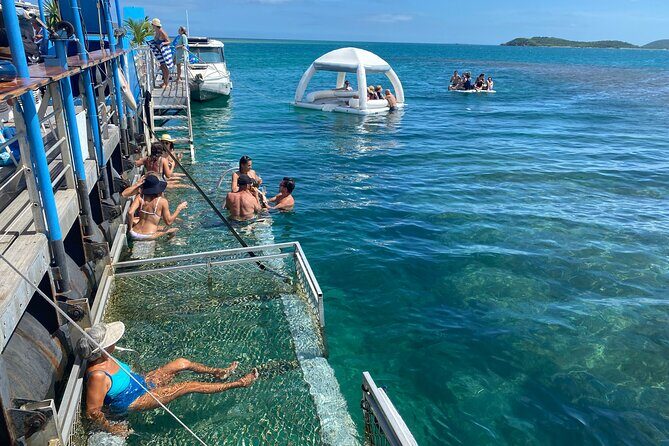Ponton Day Trip SWIM with Turtles All meals included & Transport - The Floating Seafood Restaurant & Food