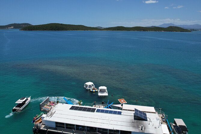 Ponton Day Trip SWIM with Turtles All meals included & Transport - FAQ