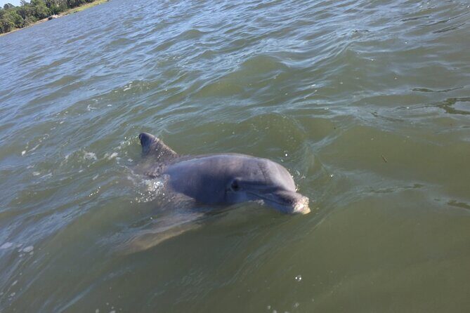 Pontoon Boat Rental in Hilton Head Island - Final Thoughts