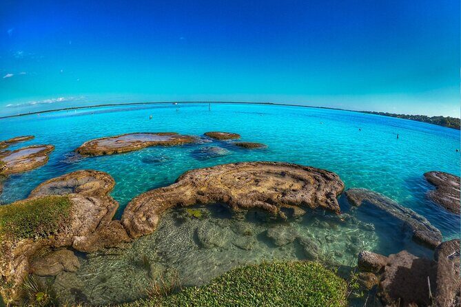 Pontoon Tour of the Seven Colors Lagoon in Bacalar - Who Will Love This Tour?