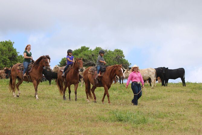 Pony Rides For Kids - What’s Included and What’s Not