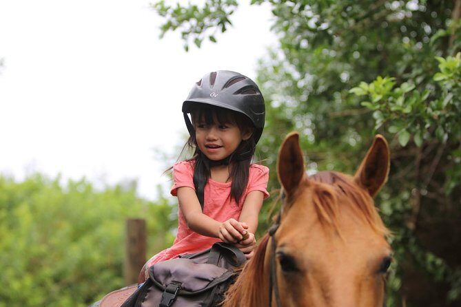 Pony Rides For Kids - The Scenic and Educational Value