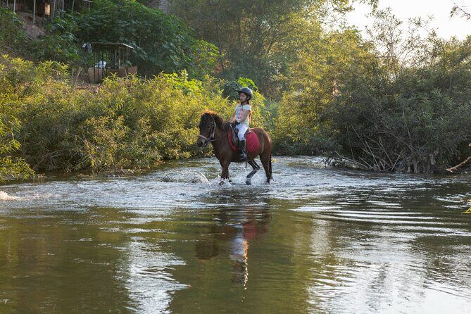 Pony Riding in Luang Prabang - An In-Depth Look at the Pony Riding Experience