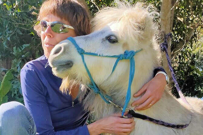 Pony Walking Adventure - Introducing the Pony Walking Adventure in Sydney