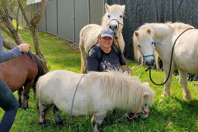 Pony Walking Adventure - The Value of This Pony Walk