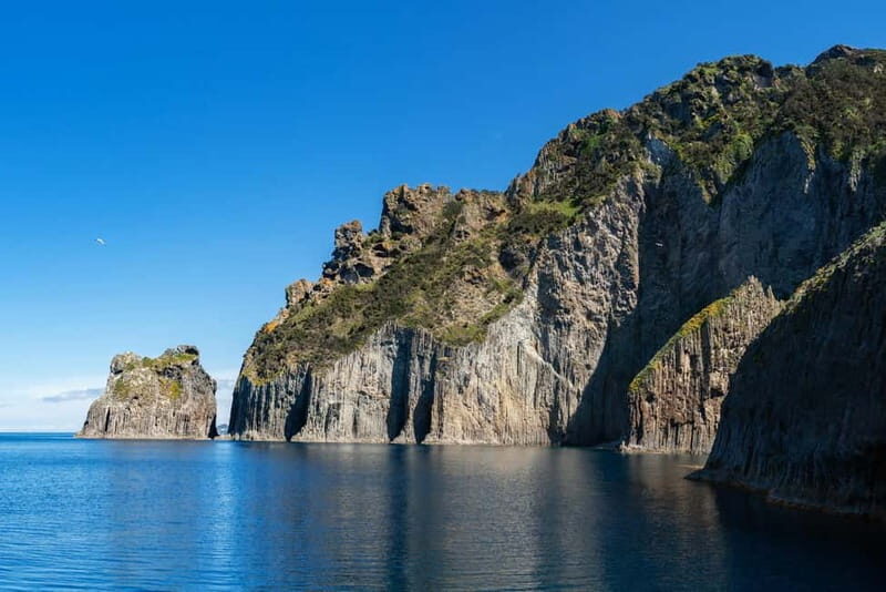 Ponza: Palmarola & Ponza Island Cruise with Swimming & Lunch - An In-Depth Look at the Ponza & Palmarola Cruise
