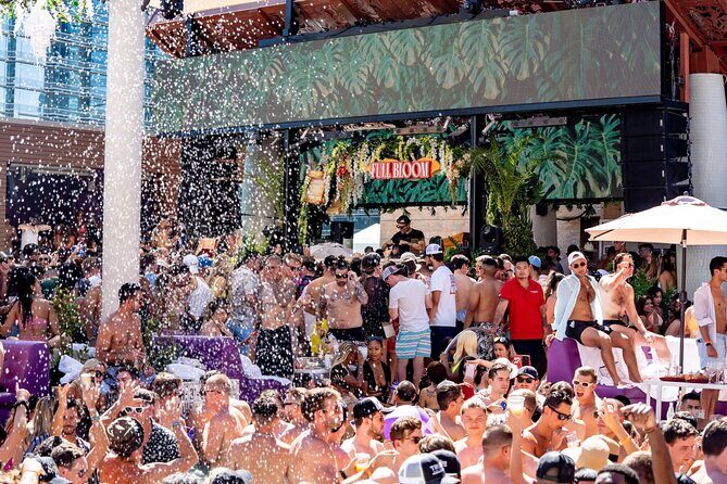 Pool Party VIP Experience with Private VIP Host in Las Vegas - Who Would Love This Experience?