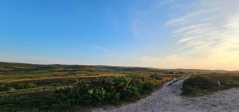 Poole: Ebike excursion to Old Harry with Ebike4you - Considering the Cost and Overall Value