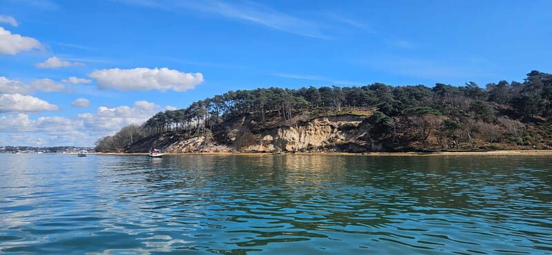 Poole Harbour: Self Drive Boat Hire with Poole Boat Hire - Key Points