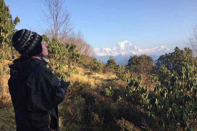 Poon Hill Circuit with Hot Spring Trek from Pokhara - Practical Tips for Potential Trekkers