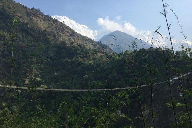 Poon Hill Circuit with Hot Spring Trek from Pokhara - Authentic Experiences and Traveler Feedback