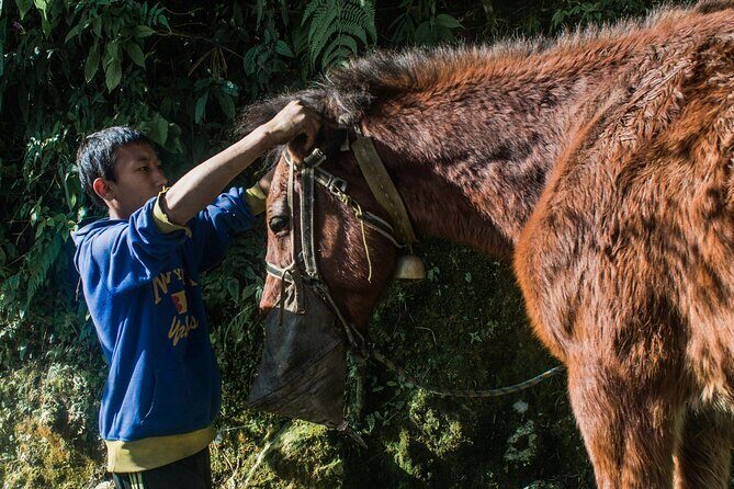 Poon Hill Sunrise and Cultural Villages 4 Days Trek from Pokhara - Who Should Consider This Trek?