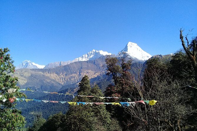 Poon Hill Trek - 5 Day / 4 Night (ex Kathmandu) - Daily Departure - An In-Depth Look at the Poon Hill Trek Experience