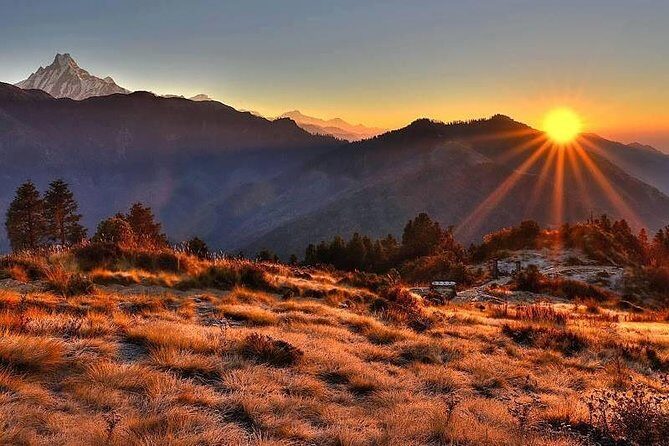 Poon Hill Trek - The Poon Hill Trek: A Close Look