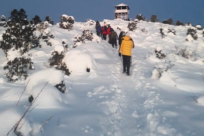 Poon Hill Trek via Hot-Spring 10 Days - Day 7: Jhinu Danda to Ghandruk — Cultural Exploration